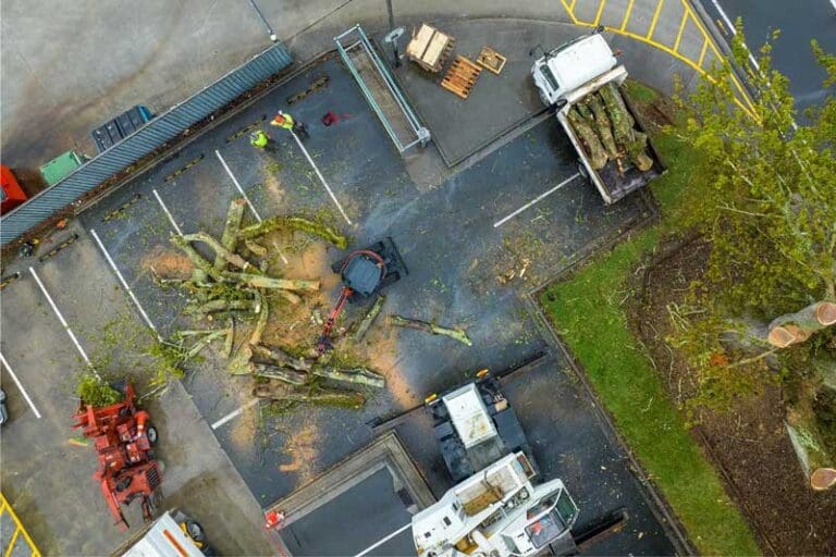 Tree Removal - Hamilton & Waikato | Groundzone