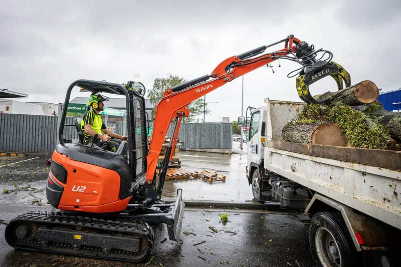 Tree Removal - Hamilton & Waikato | Groundzone